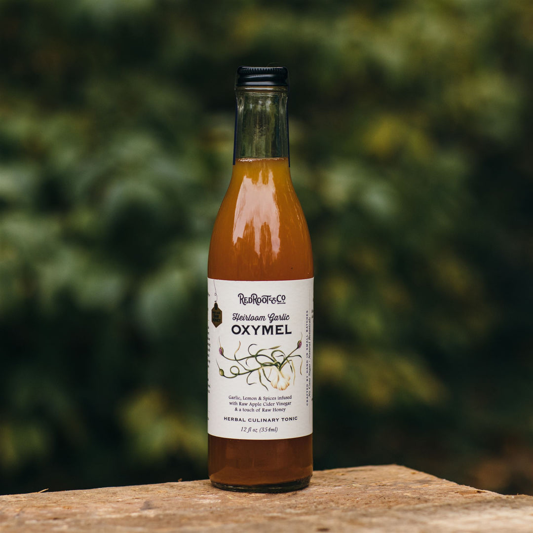 Oxymels – Red Root & Co.